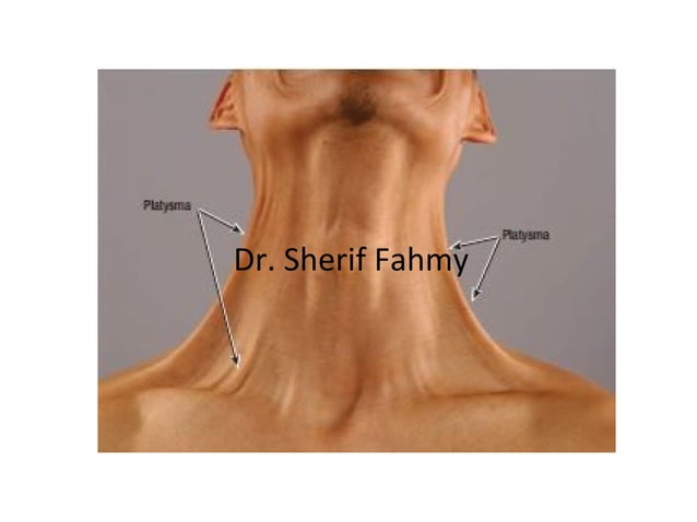 Cervical Fascia & Posterior Triangle (Anatomy of the Neck) | PPS