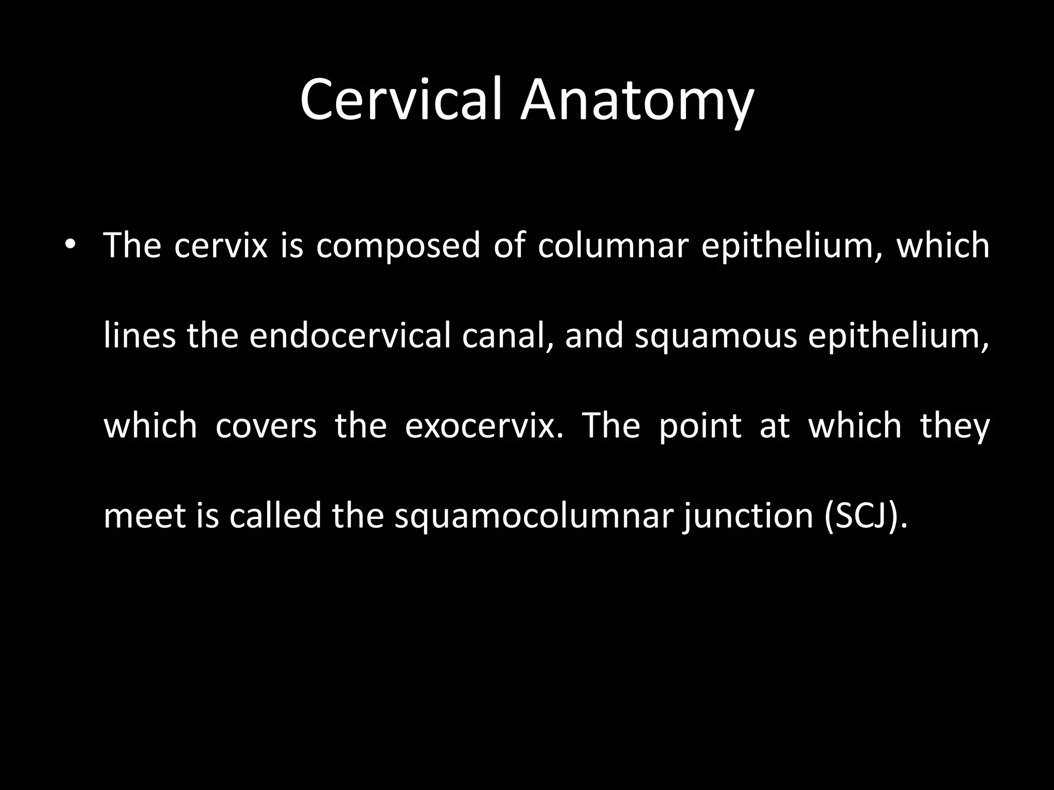 Cervical Intraepithelial Neoplasia Ppt