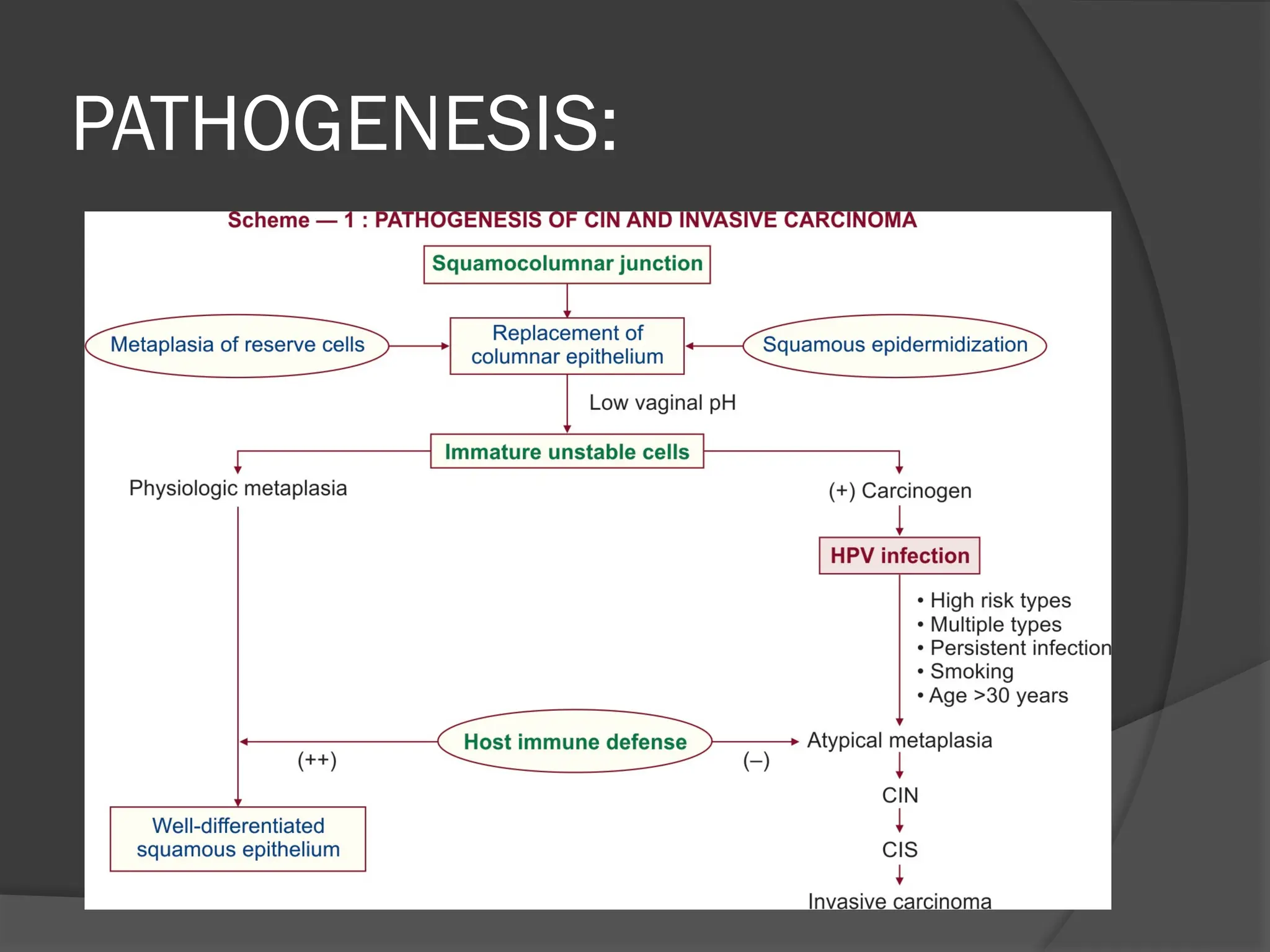 CERVICAL INTRAEPITHELIAL NEOPLASIA (CIN)0001.pptx