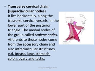 Cervical lymph adenopathy | PPTX