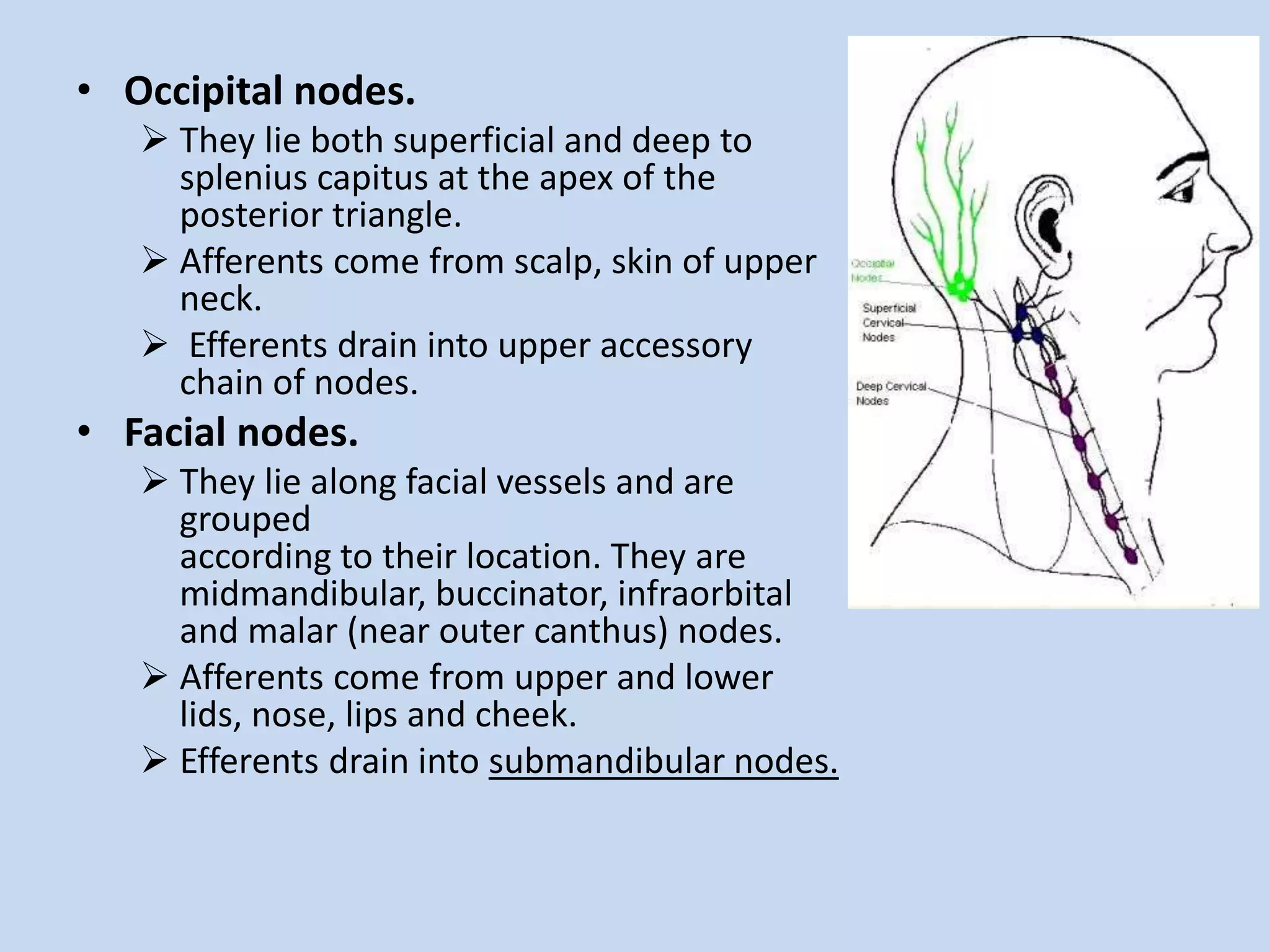 Cervical lymphadenopathy | PPTX
