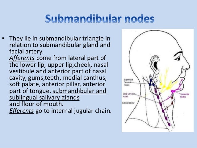 Cervical lymphadenopathy