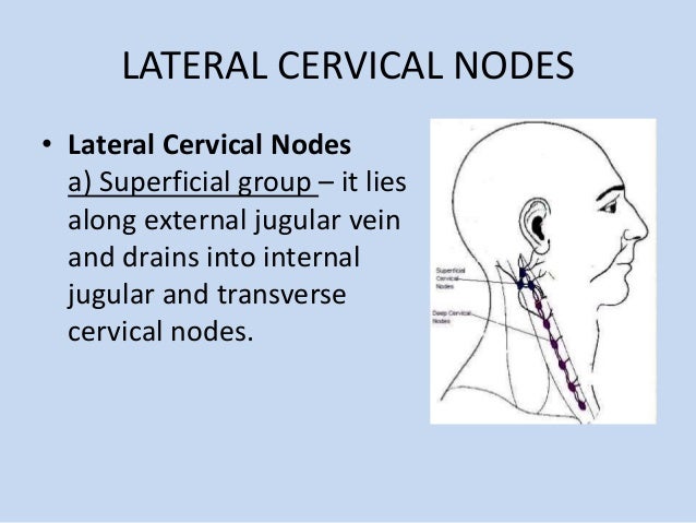 Anterior Cervical Lymph Nodes