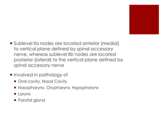 Cervical lymph nodes | PPTX