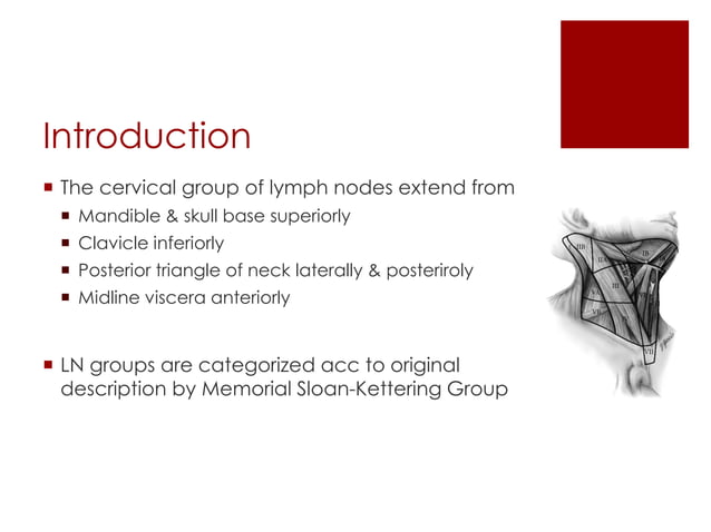 Cervical lymph nodes | PPTX
