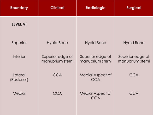 Cervical lymph nodes | PPTX