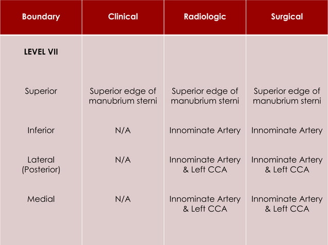 Cervical lymph nodes | PPTX