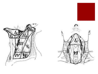 Cervical lymph nodes | PPTX