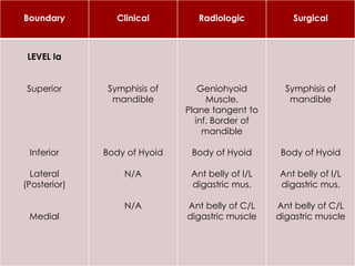 Cervical Lymph Nodes Levels