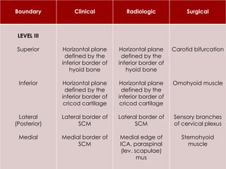 Lymph Nodes Neck Levels