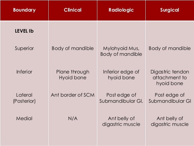 Cervical Lymph Nodes