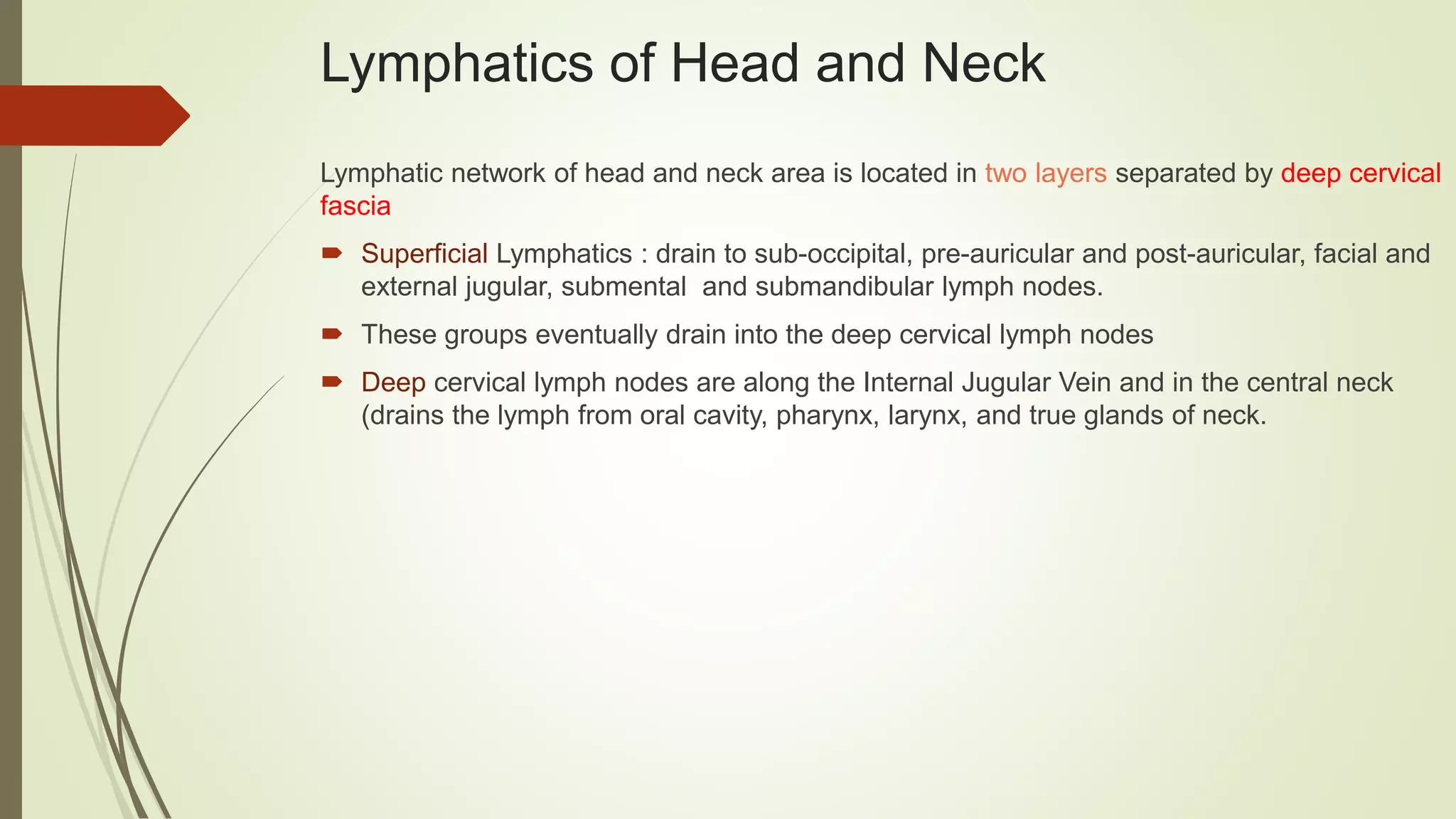 Cervical lymph nodes | PPTX