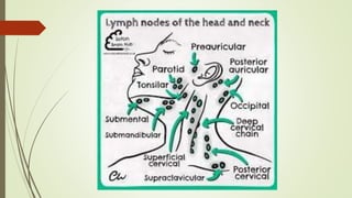 Cervical lymph nodes | PPTX