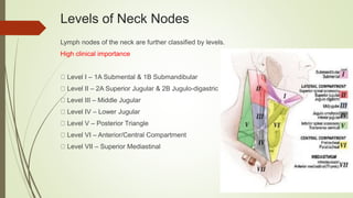 Cervical lymph nodes | PPTX