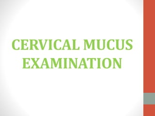 cervical mucus exam.pptx