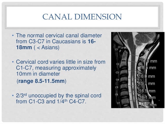 Cervical myelopathy