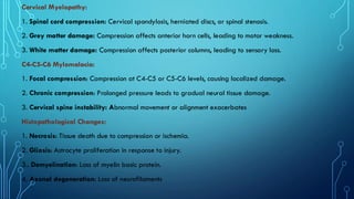 cervical myelopathy a case study for nursing studies | PDF