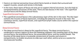 CERVICAL NECROTIZING FASCIITIS BY VINCENT MUBANGA.pptx