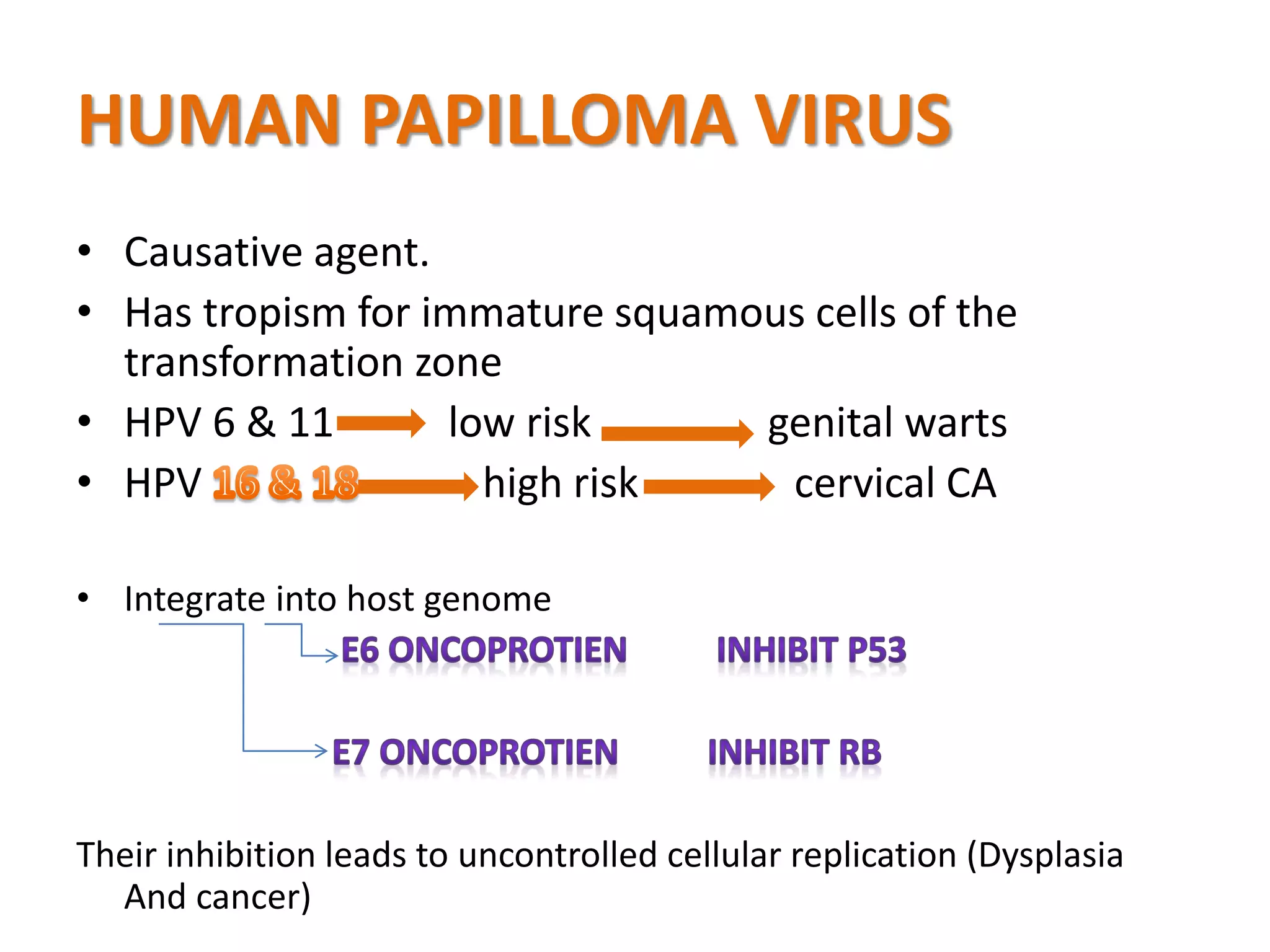Cervical neoplasms | PPTX