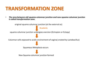 Cervical neoplasms | PPTX