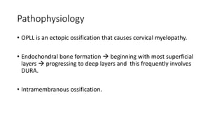 Cervical opll | PPT