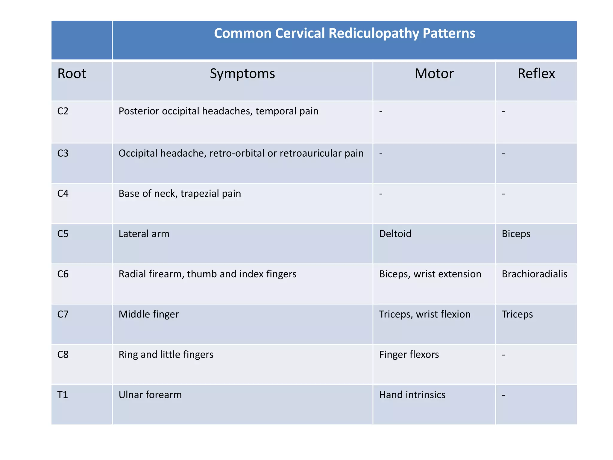 Cervical Spine Pain - Dr S L Yadav | PPTX
