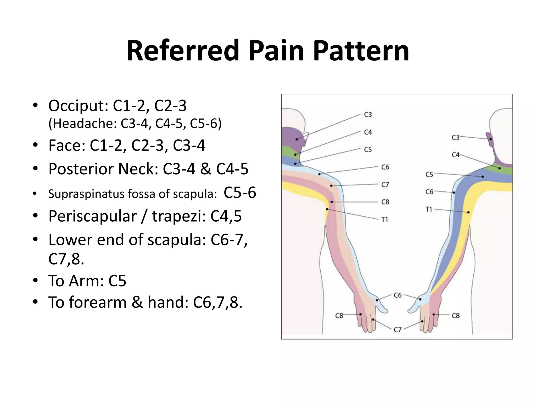 Cervical Spine Pain - Dr S L Yadav | PPTX