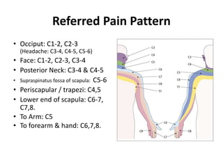 Cervical Spine Pain - Dr S L Yadav | PPT