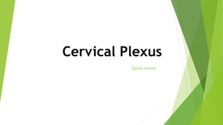 Cervical plexus | PPTX