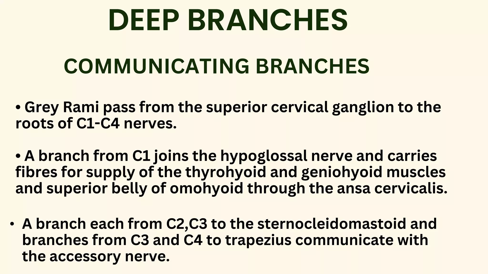 Cervicalplexus anatomy mbbs .final..pptx