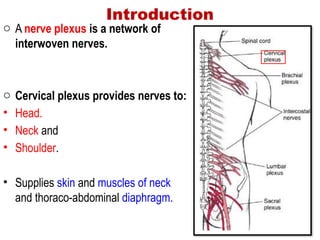 cervical_pl exus.pptx