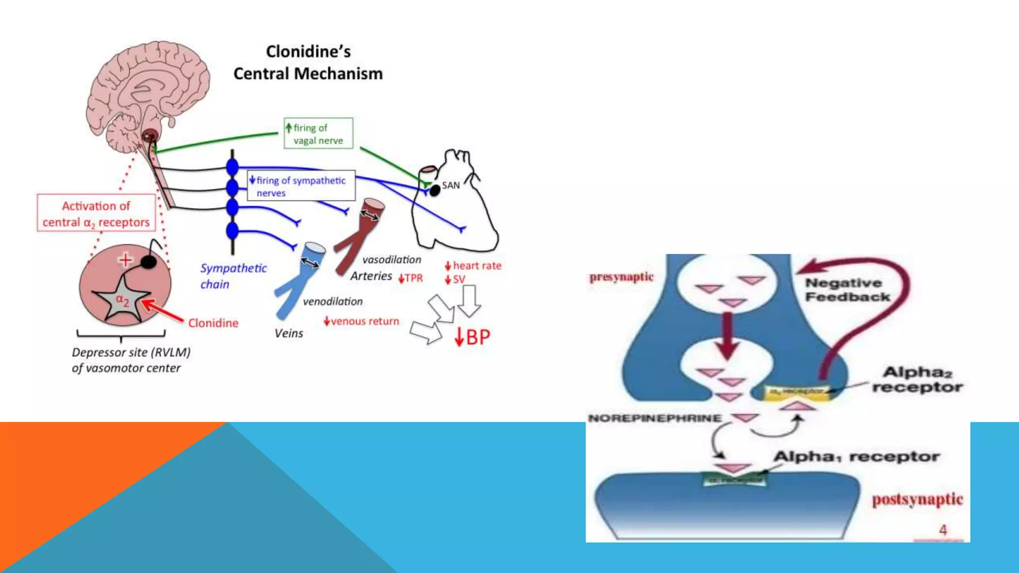 cervical plexus block.pptx