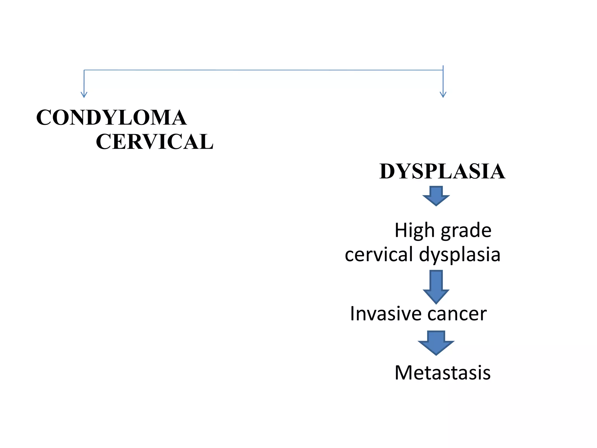 Cervical ppt | PPTX