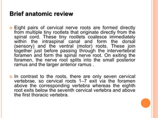 Cervical radiculopathy | PPTX