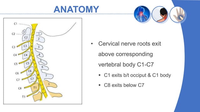 Cervical radiculopathy | PPTX