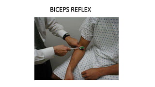 CERVICAL RADICULOPATHY, CERVICAL MYELOPATHY WITH AYURVEDA APPROACH | PPTX