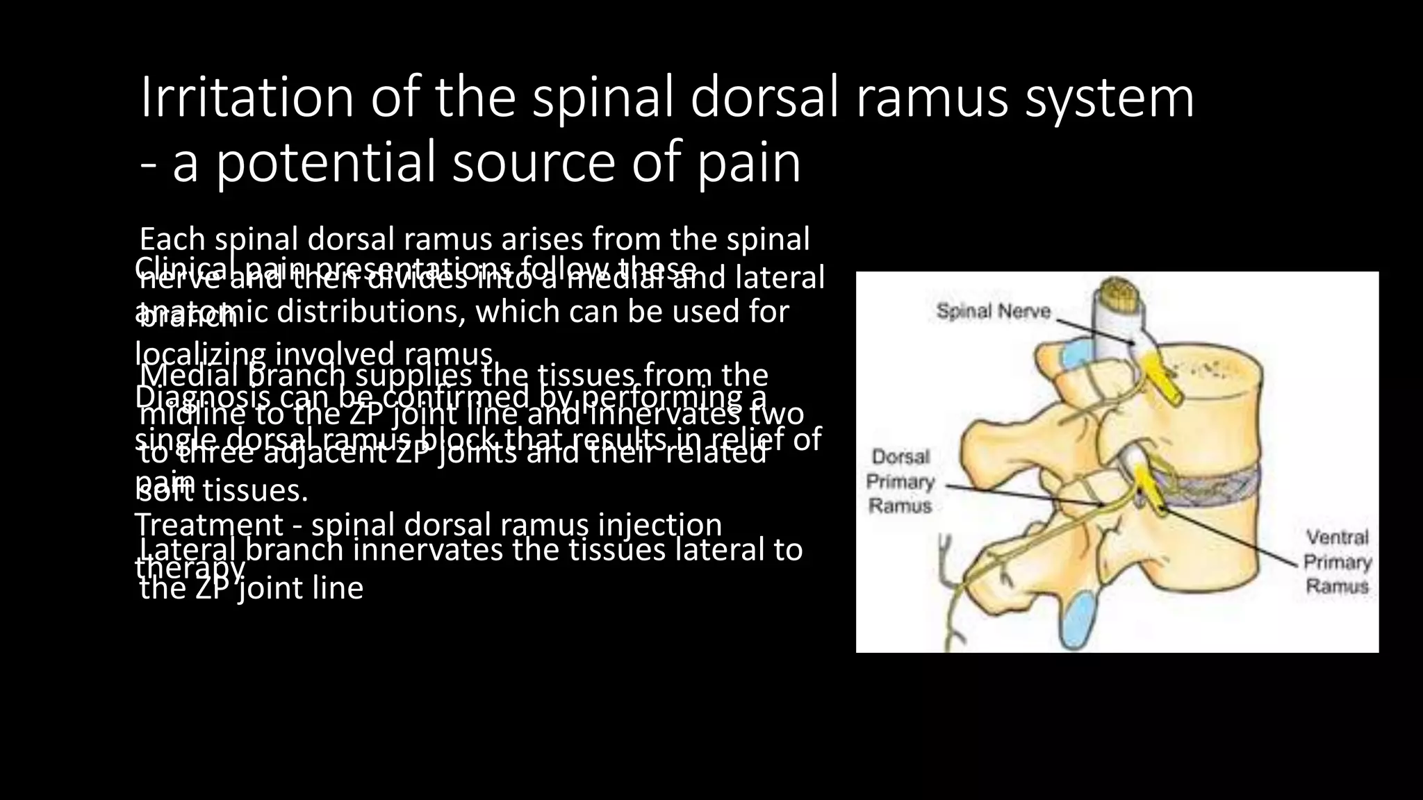 Cervical radiculopathy | PPSX