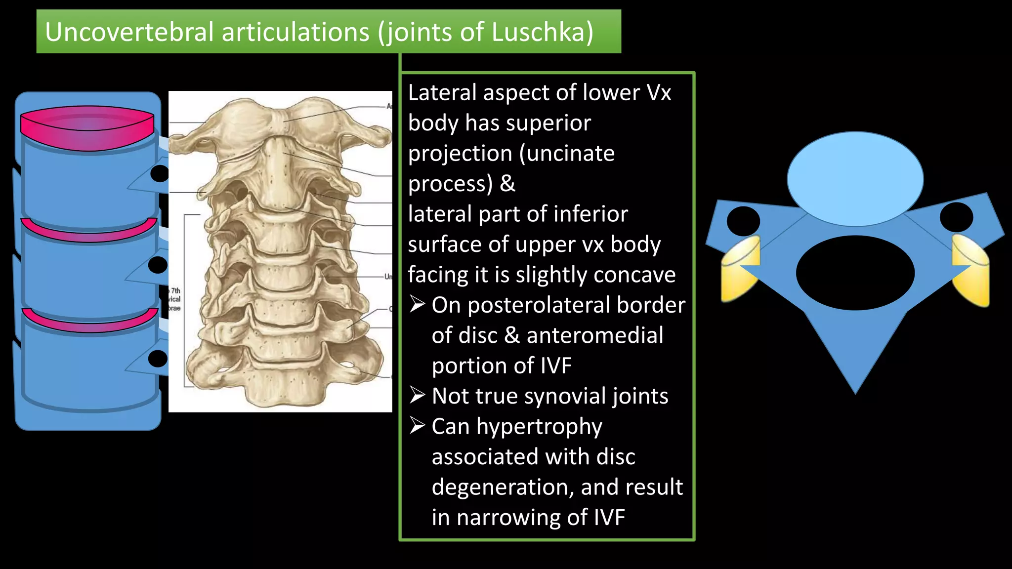Cervical radiculopathy | PPSX