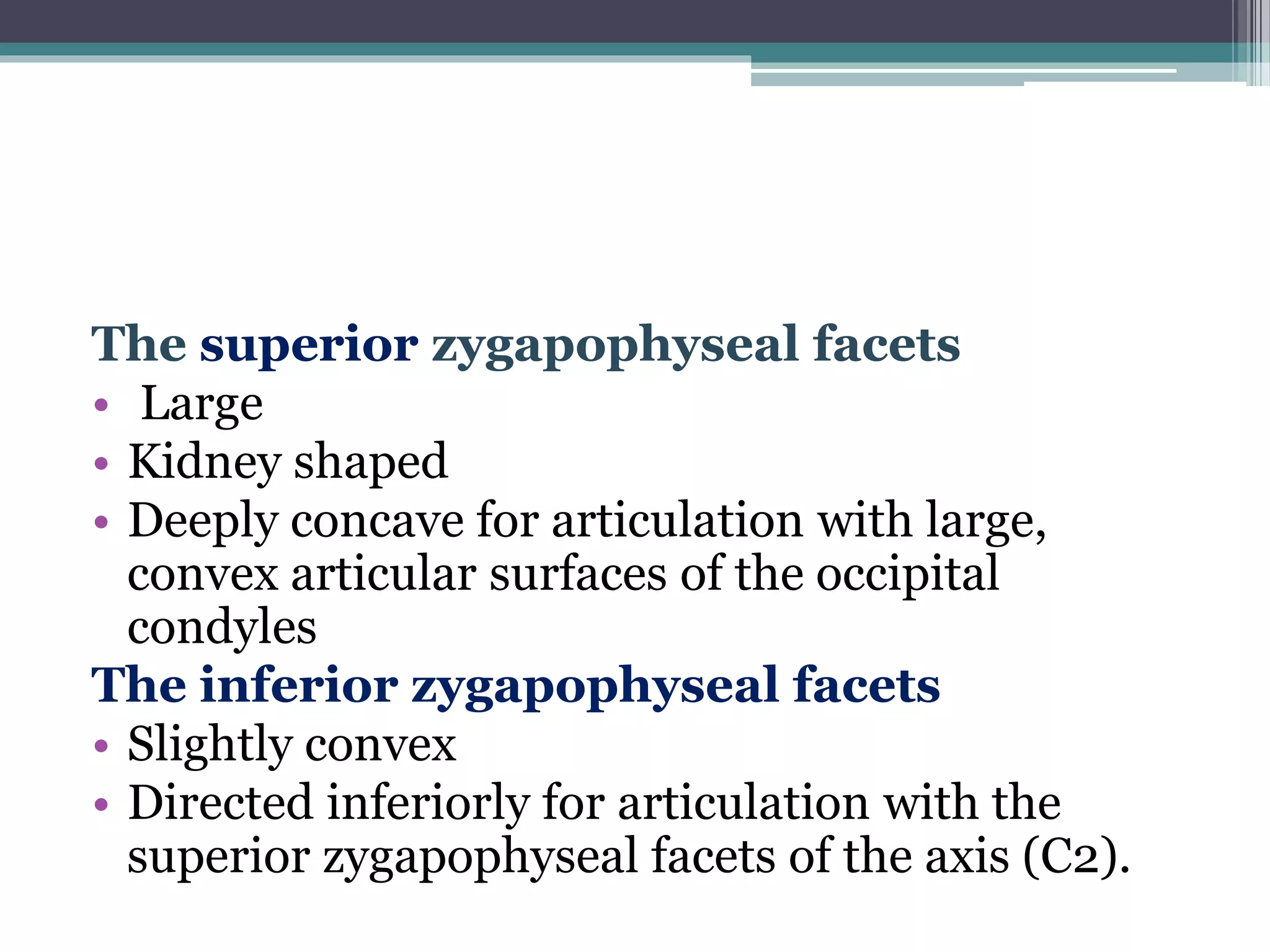 structure of Cervical region | PPTX