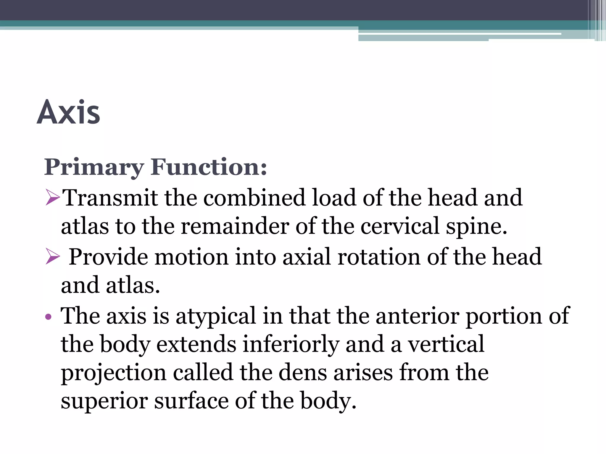 structure of Cervical region | PPTX