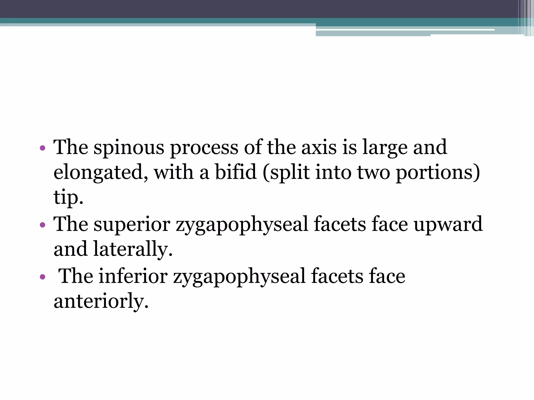 structure of Cervical region | PPTX
