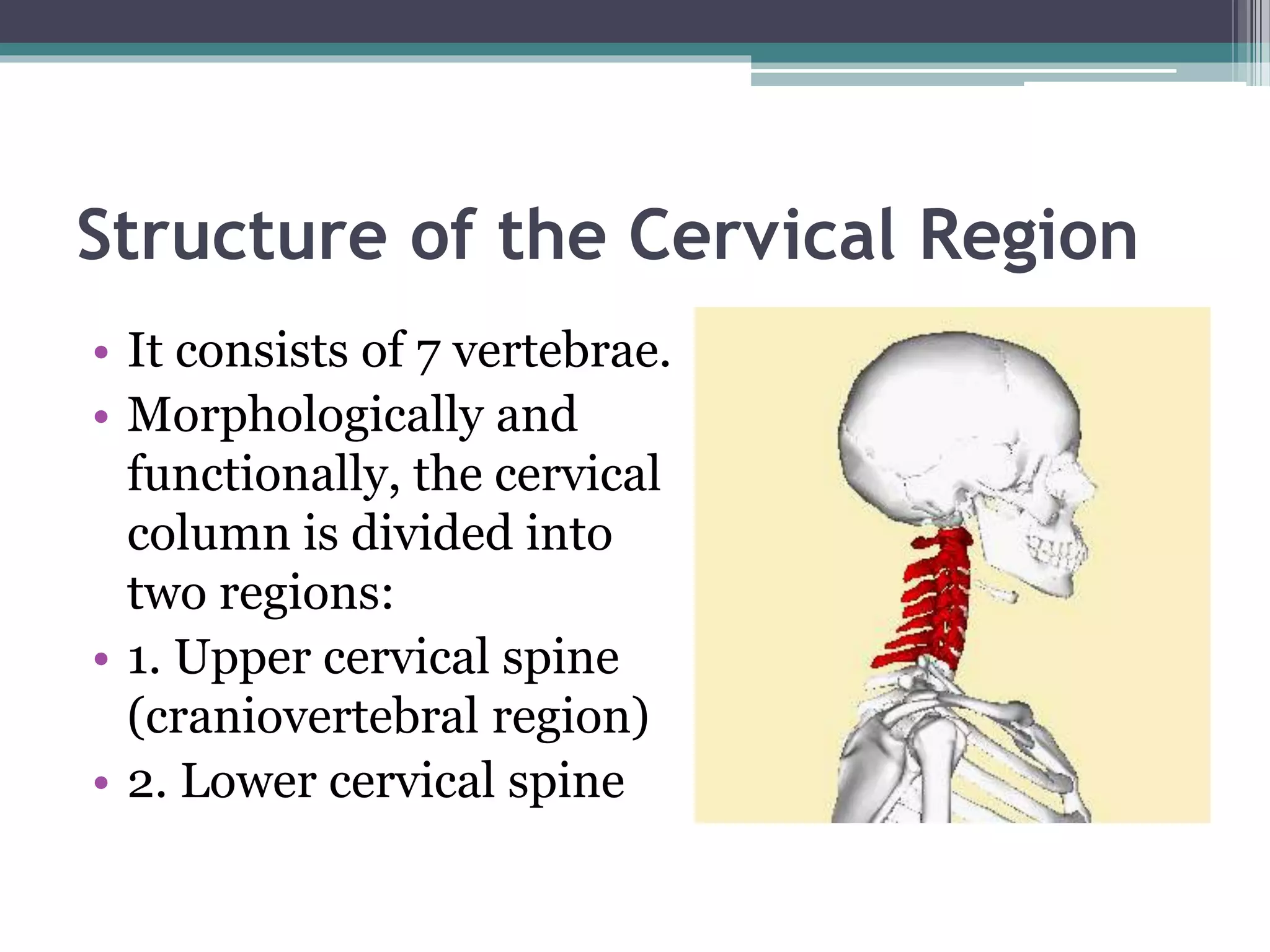 structure of Cervical region | PPTX