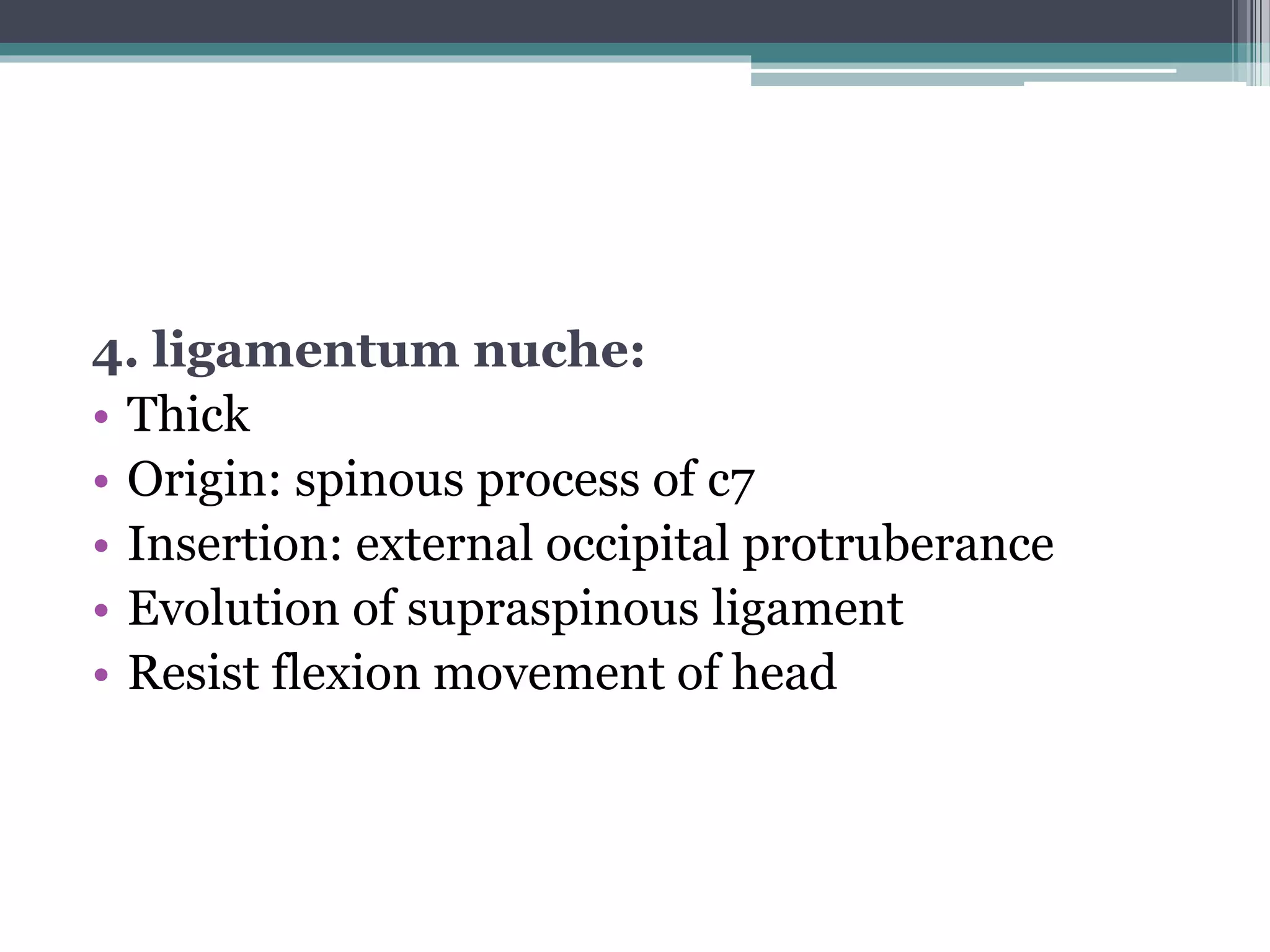 structure of Cervical region | PPTX