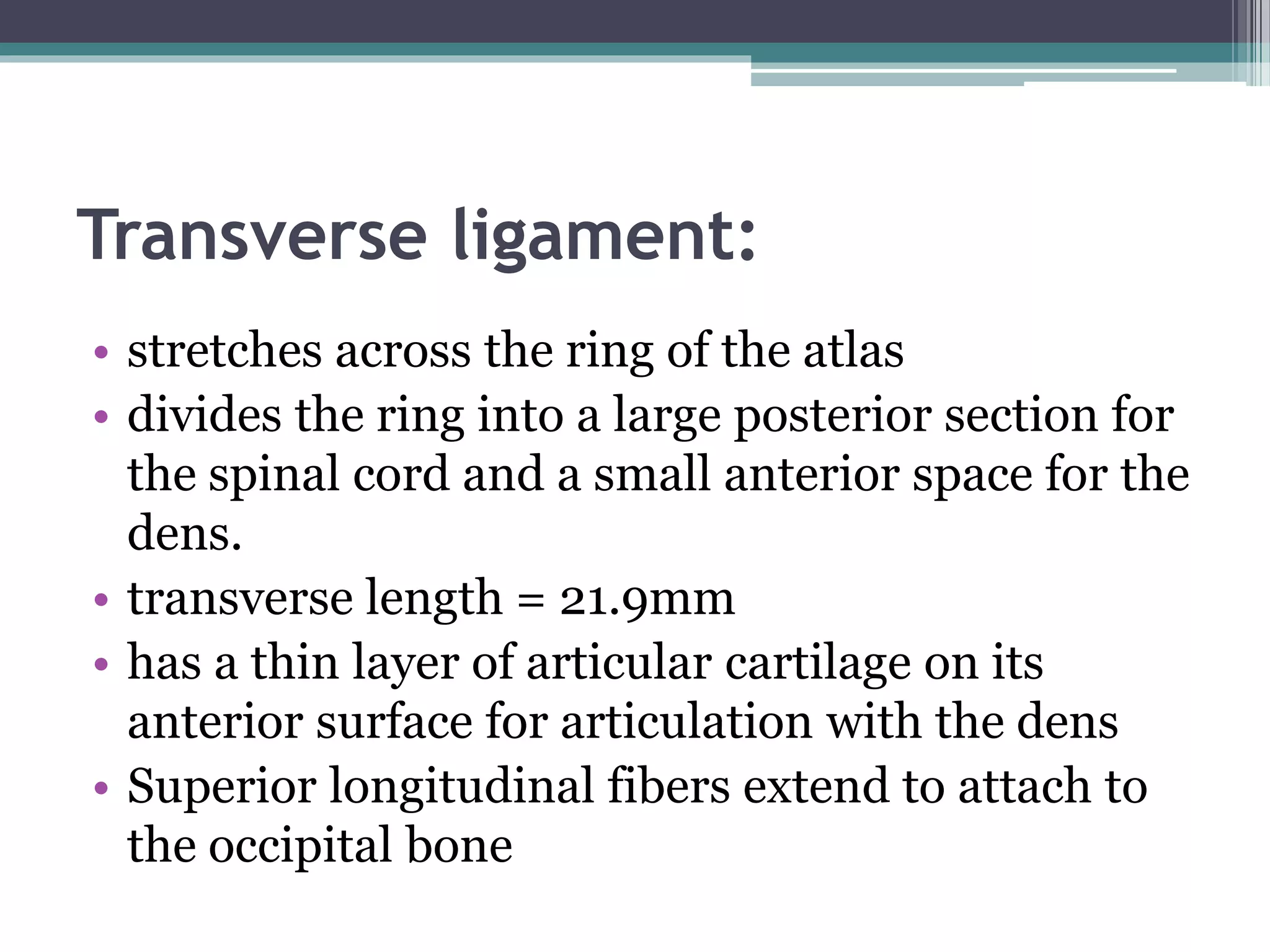 structure of Cervical region | PPTX