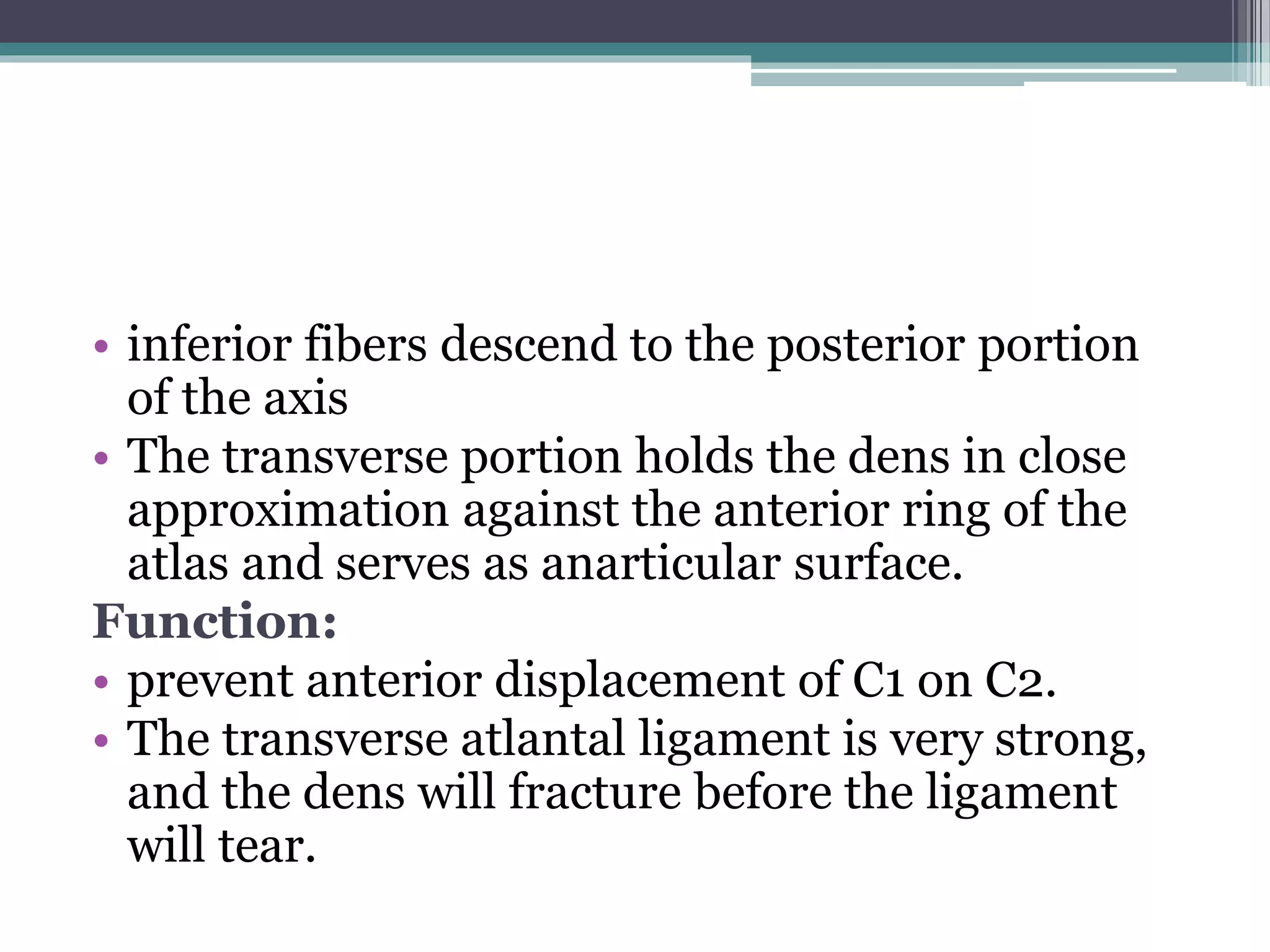 structure of Cervical region | PPTX