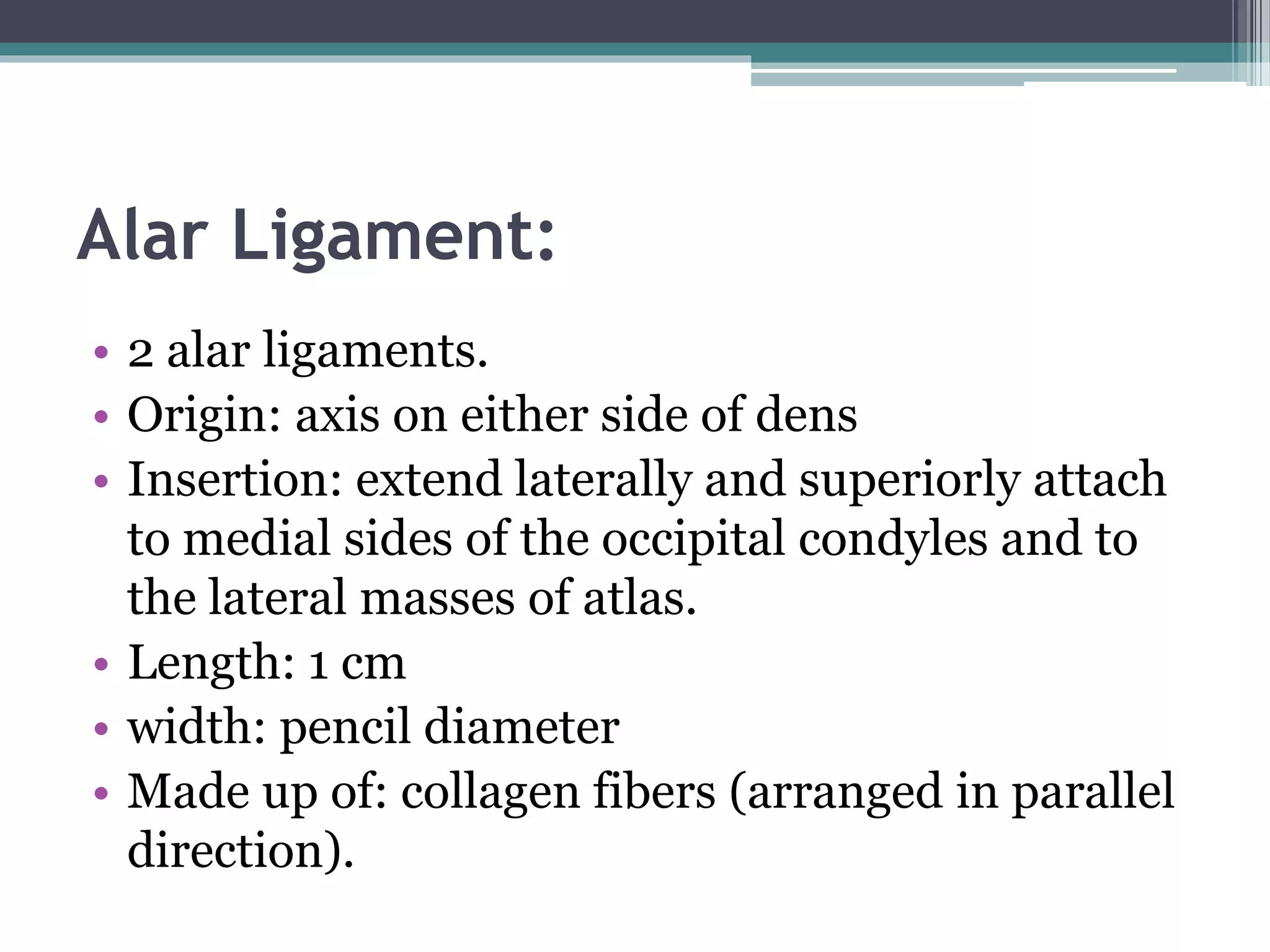 structure of Cervical region | PPTX