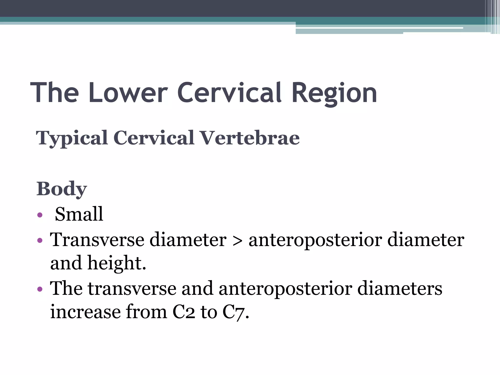 structure of Cervical region | PPTX