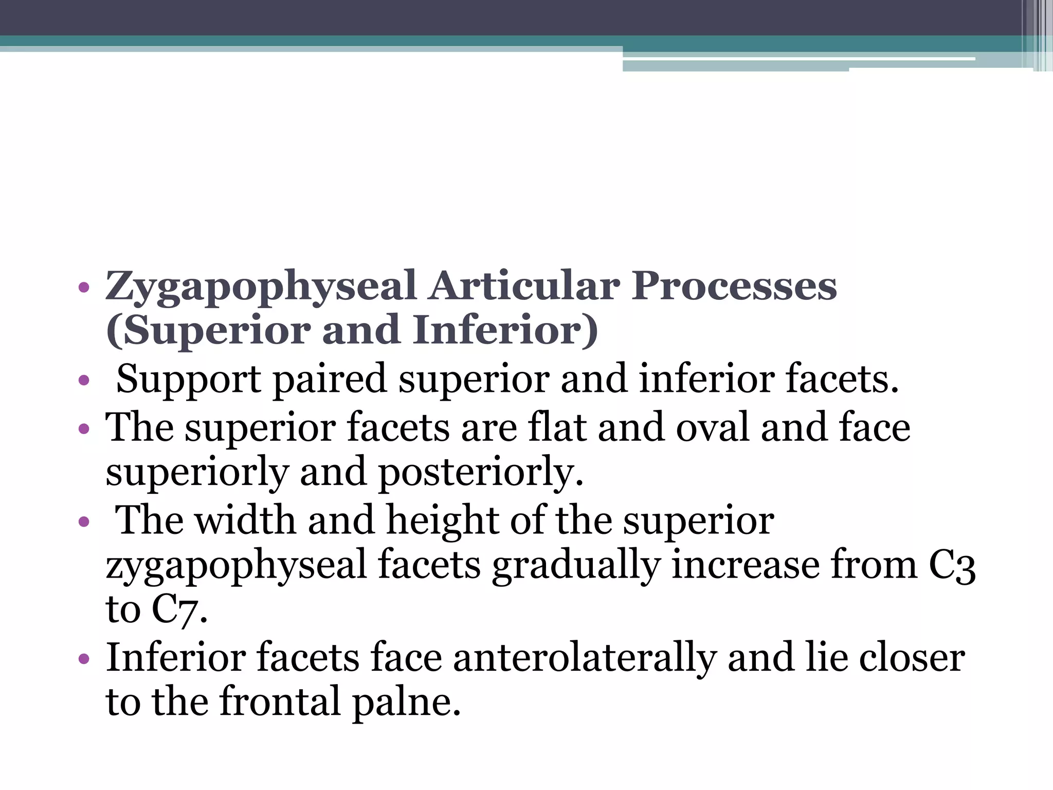 structure of Cervical region | PPTX