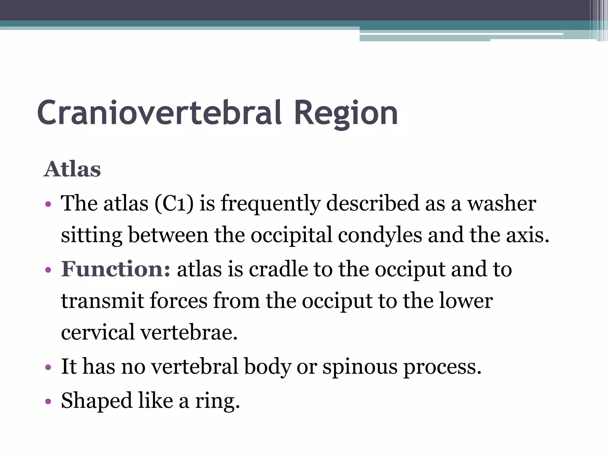 structure of Cervical region | PPTX