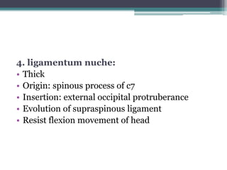 structure of Cervical region | PPTX